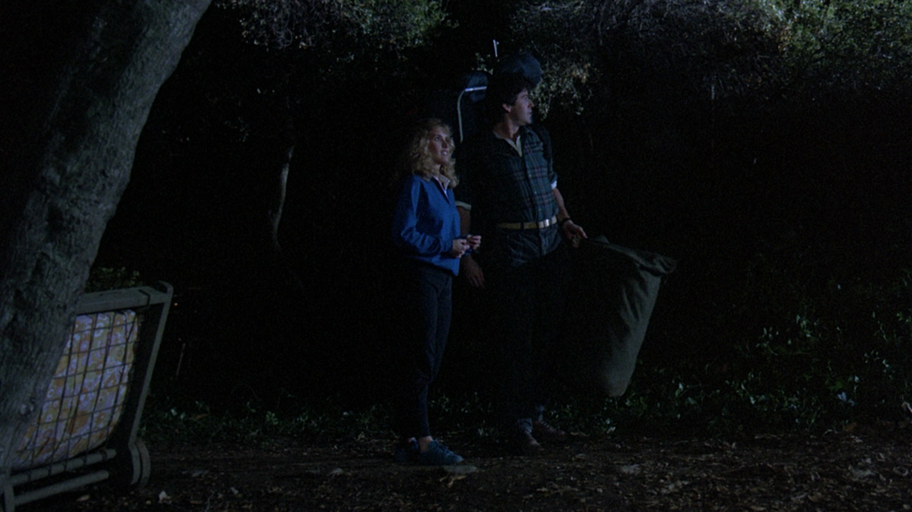 Picture of Friday the 13th Part IV: The Final Chapter