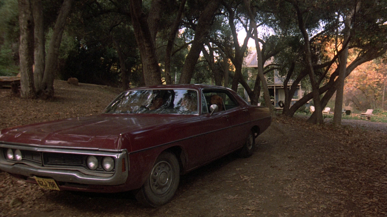Friday the 13th Part IV: The Final Chapter picture