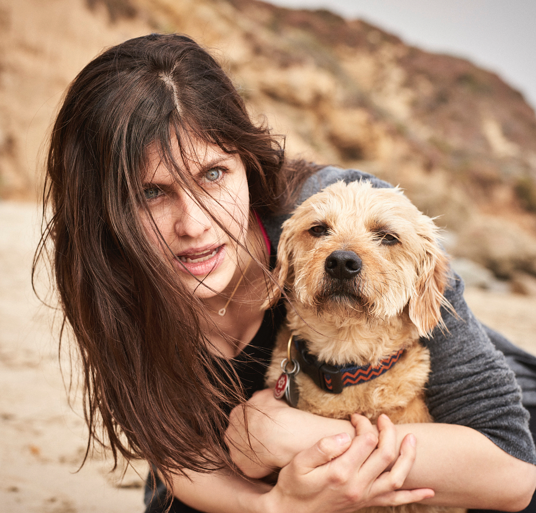 Picture of Alexandra Daddario