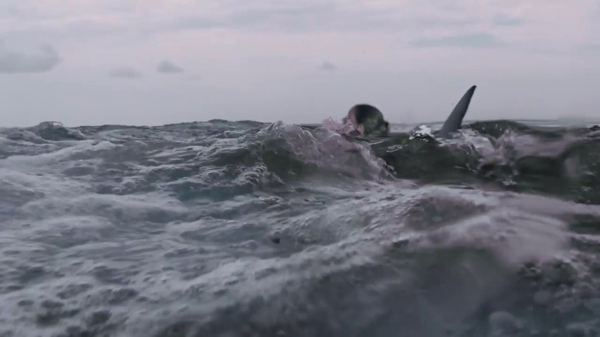 Picture of Open Water 3: Cage Dive (2017)