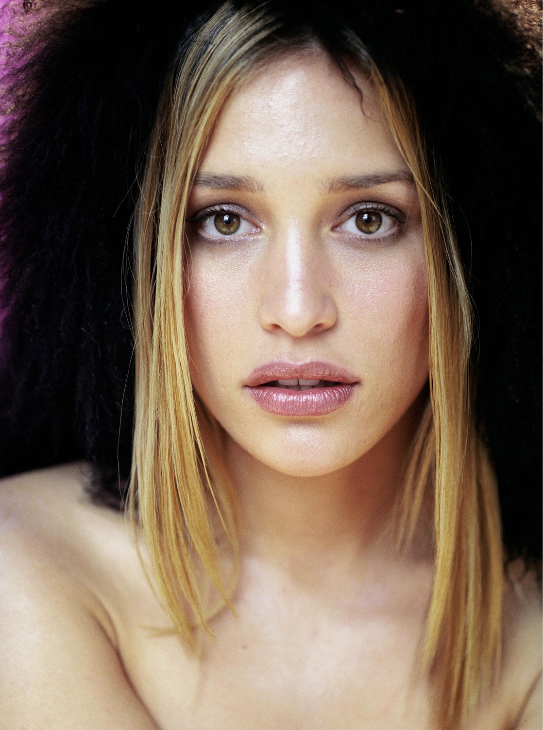 Piper Perabo image