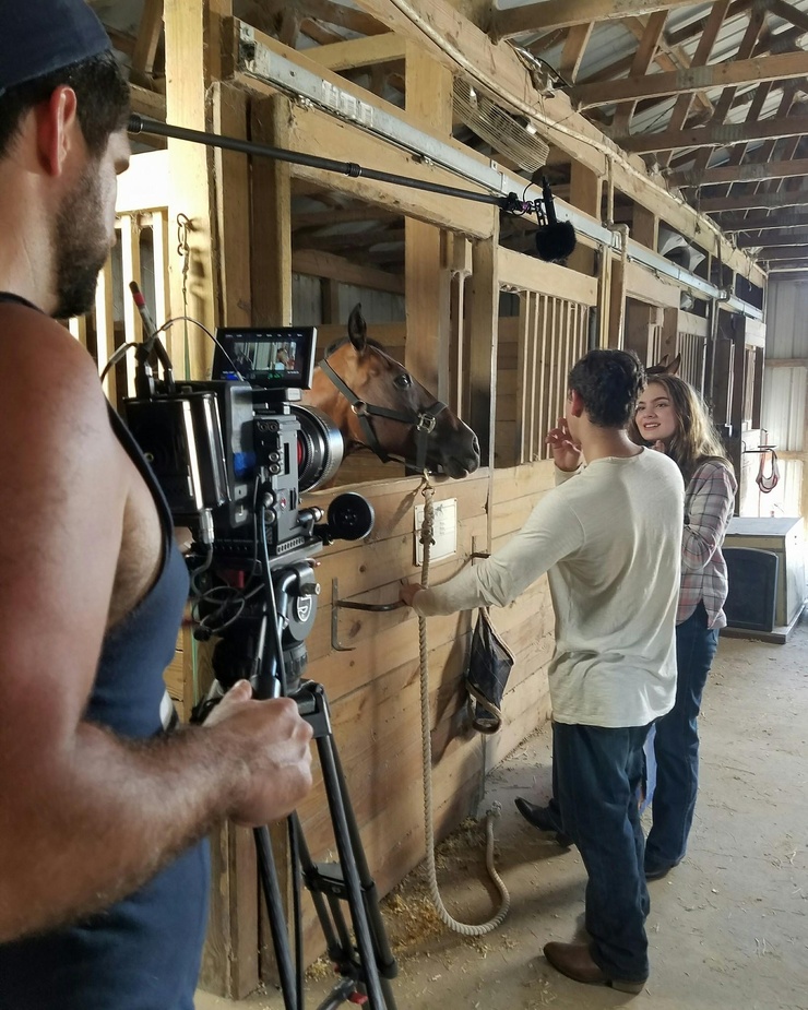 Picture of Urban Country