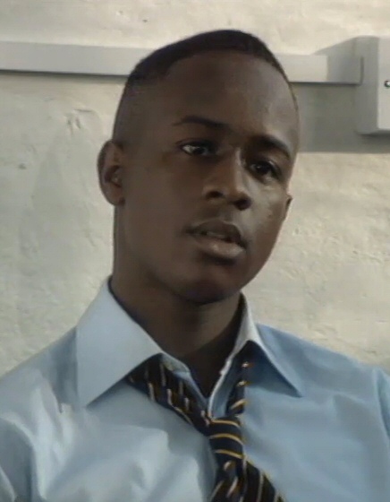 Picture of Spider Webb