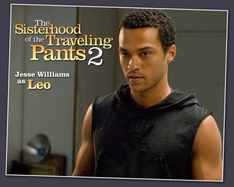 Picture of The Sisterhood of the Traveling Pants 2