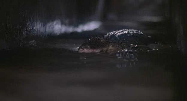 Alligator II: The Mutation image