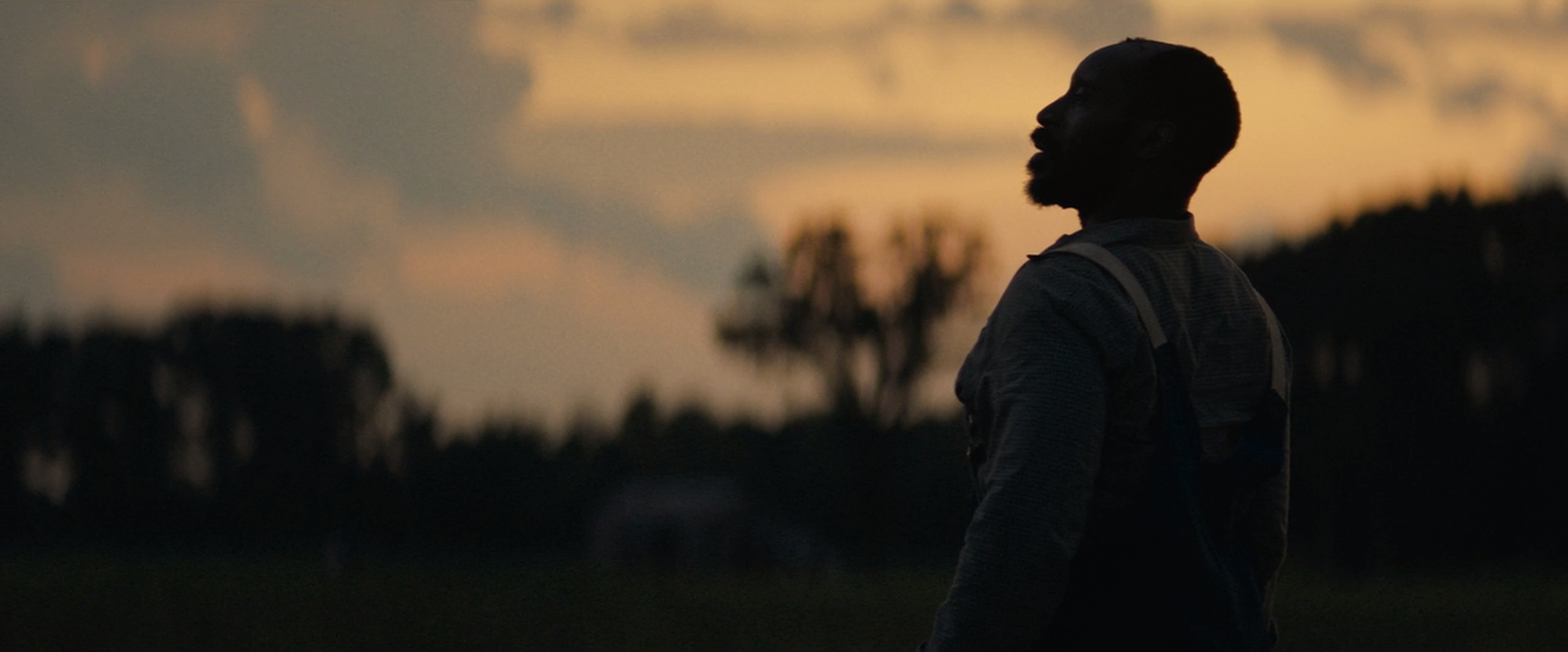 Picture of Mudbound