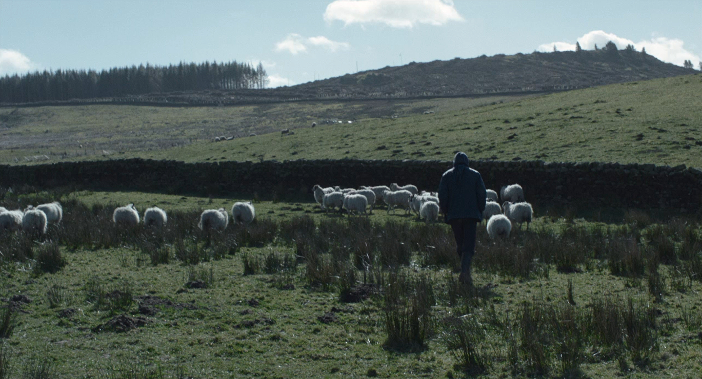 Picture of God's Own Country