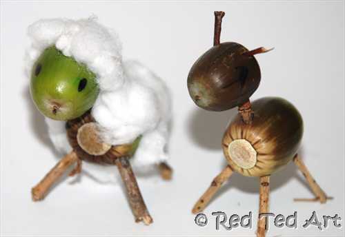 Acorn Sheep and Reindeer