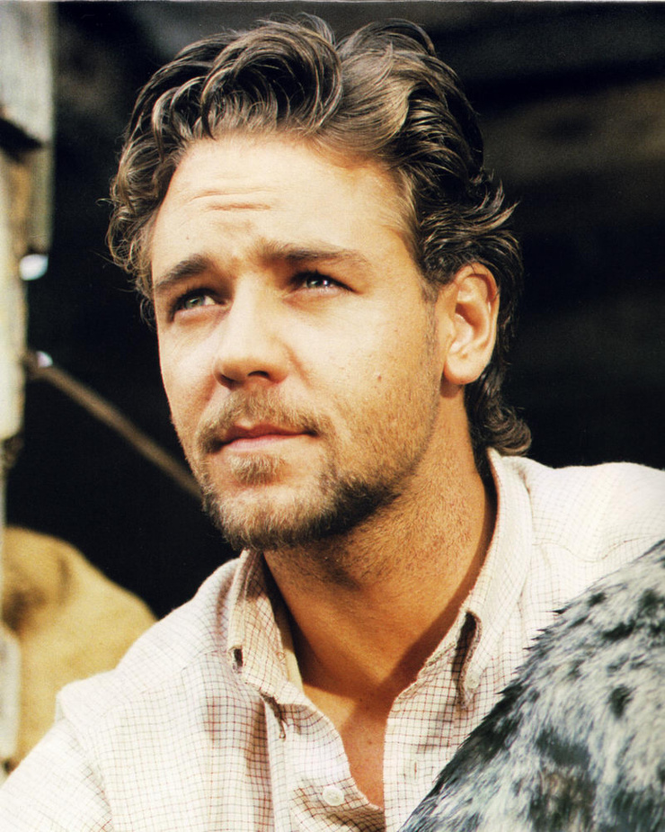 Picture of The Silver Stallion: King of the Wild Brumbies