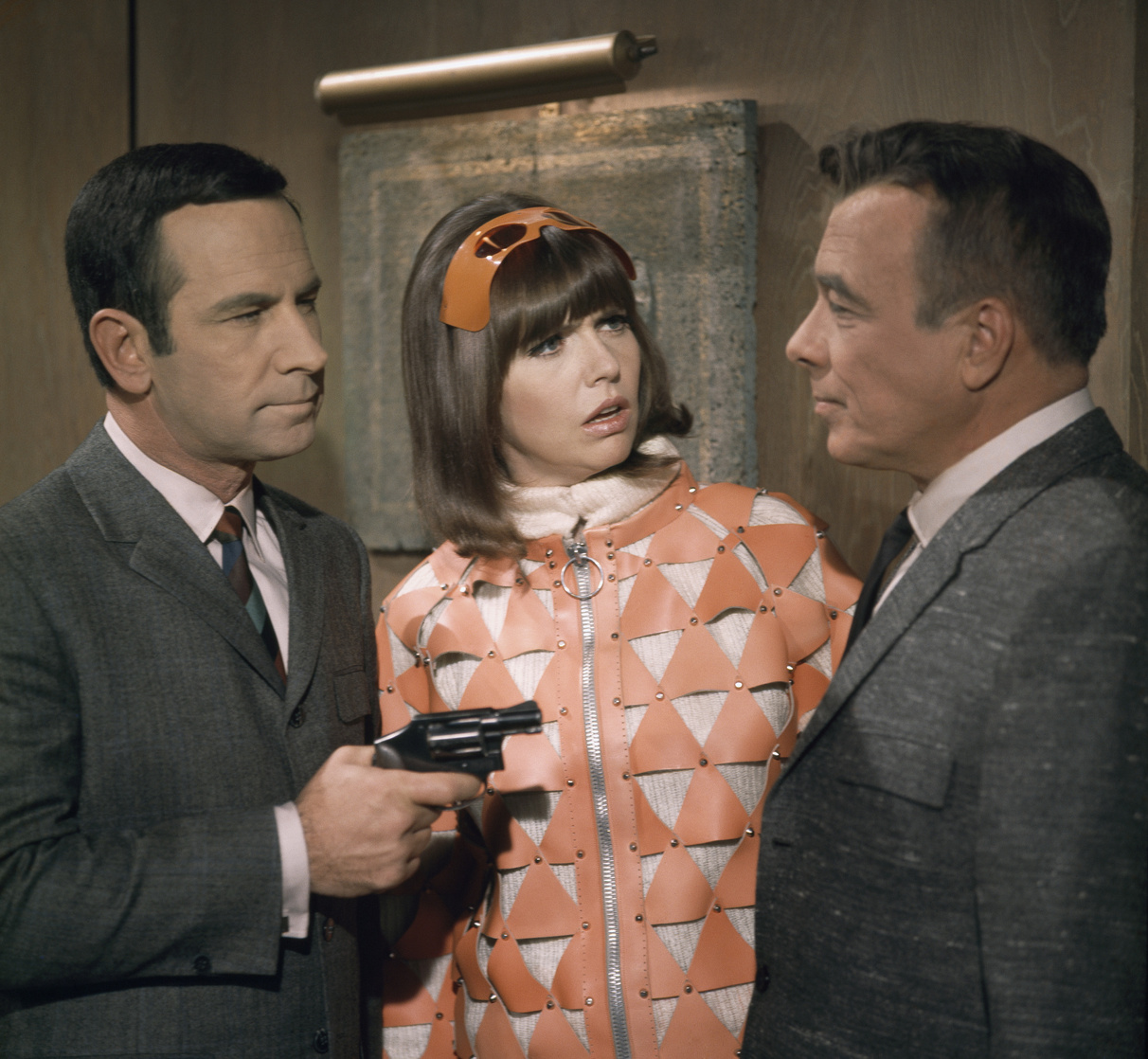 Picture of Barbara Feldon