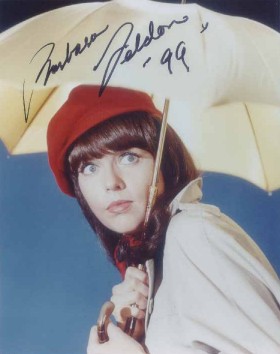 Picture of Barbara Feldon