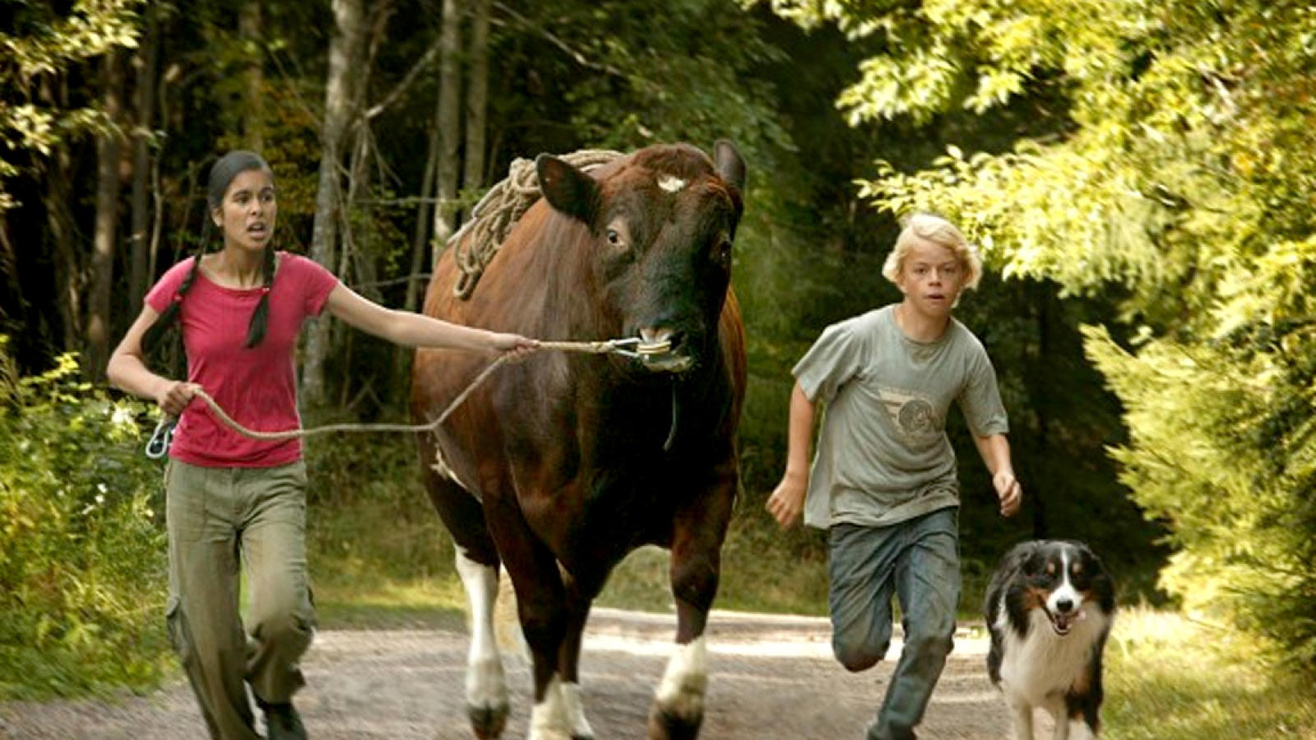 Picture of Finding Friends