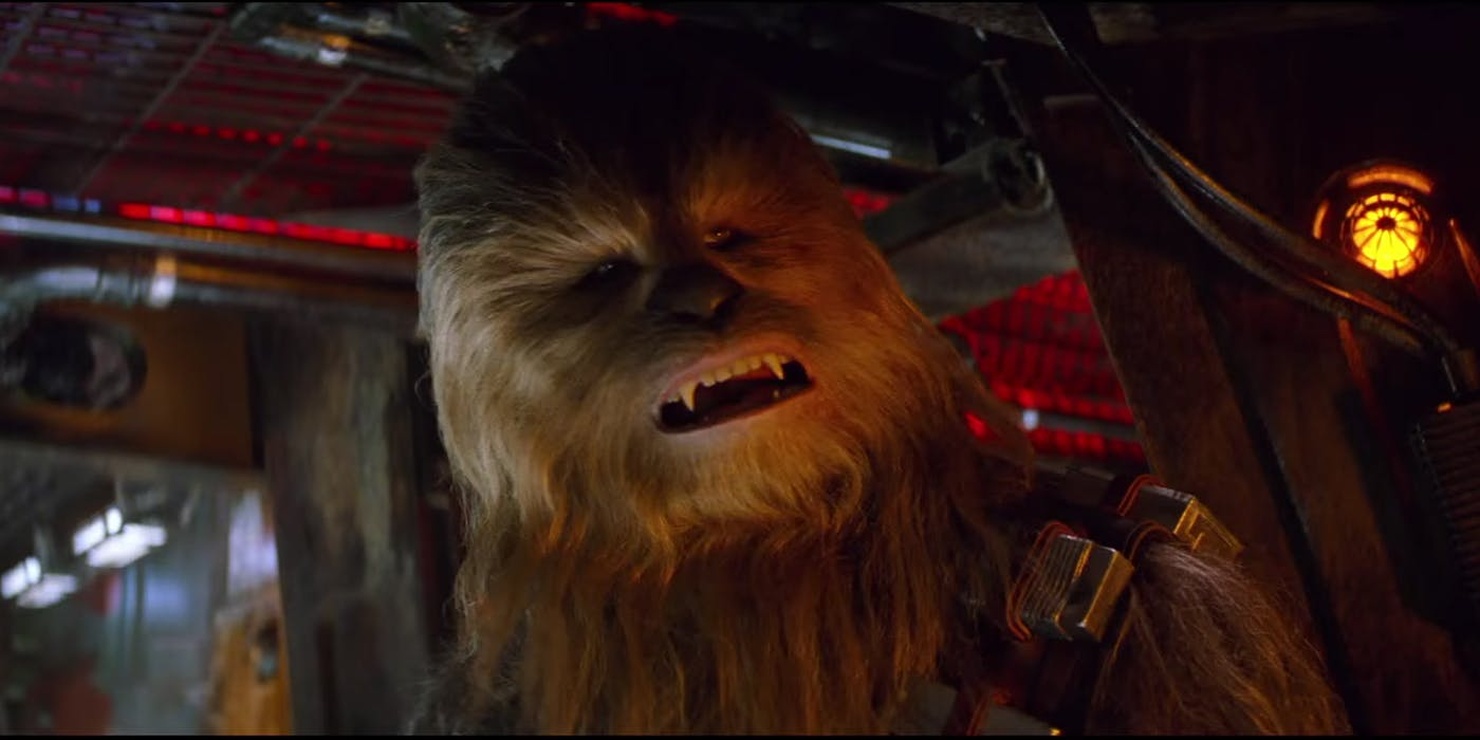 Picture of Chewbacca