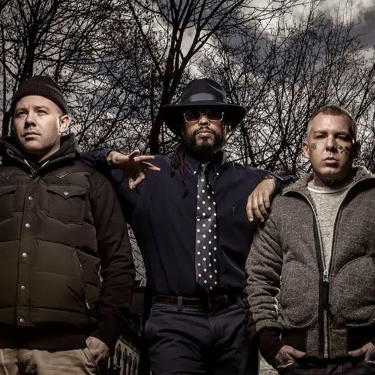 Picture of Swollen Members