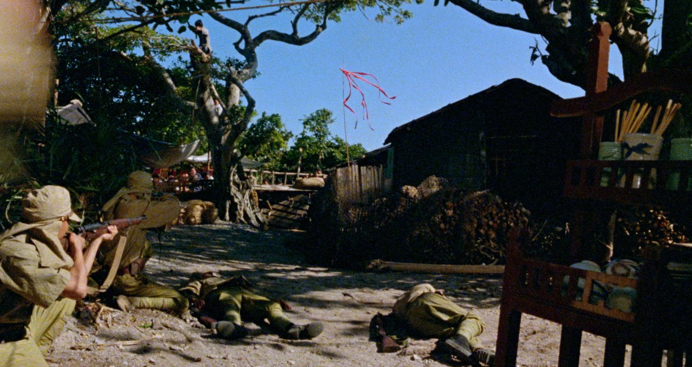 Picture of Attack Force Z (1981)