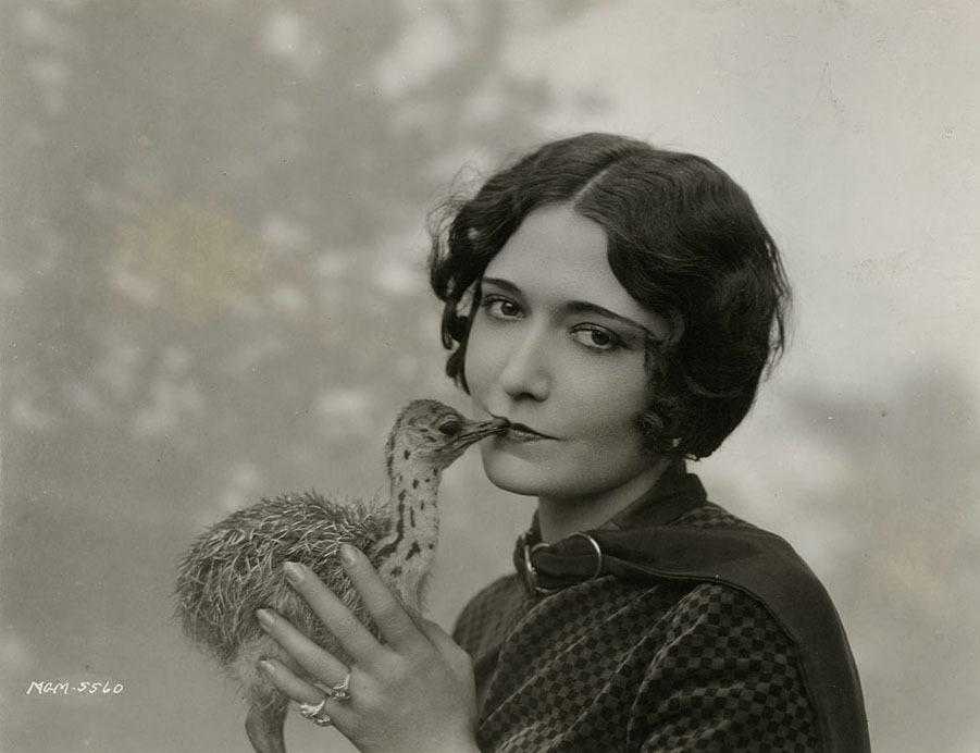 Picture of Dorothy Sebastian