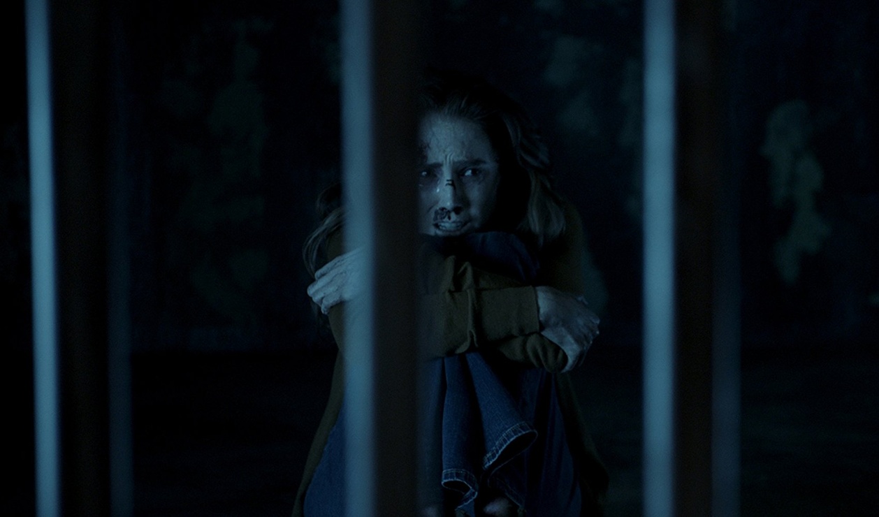 Picture of Insidious: The Last Key
