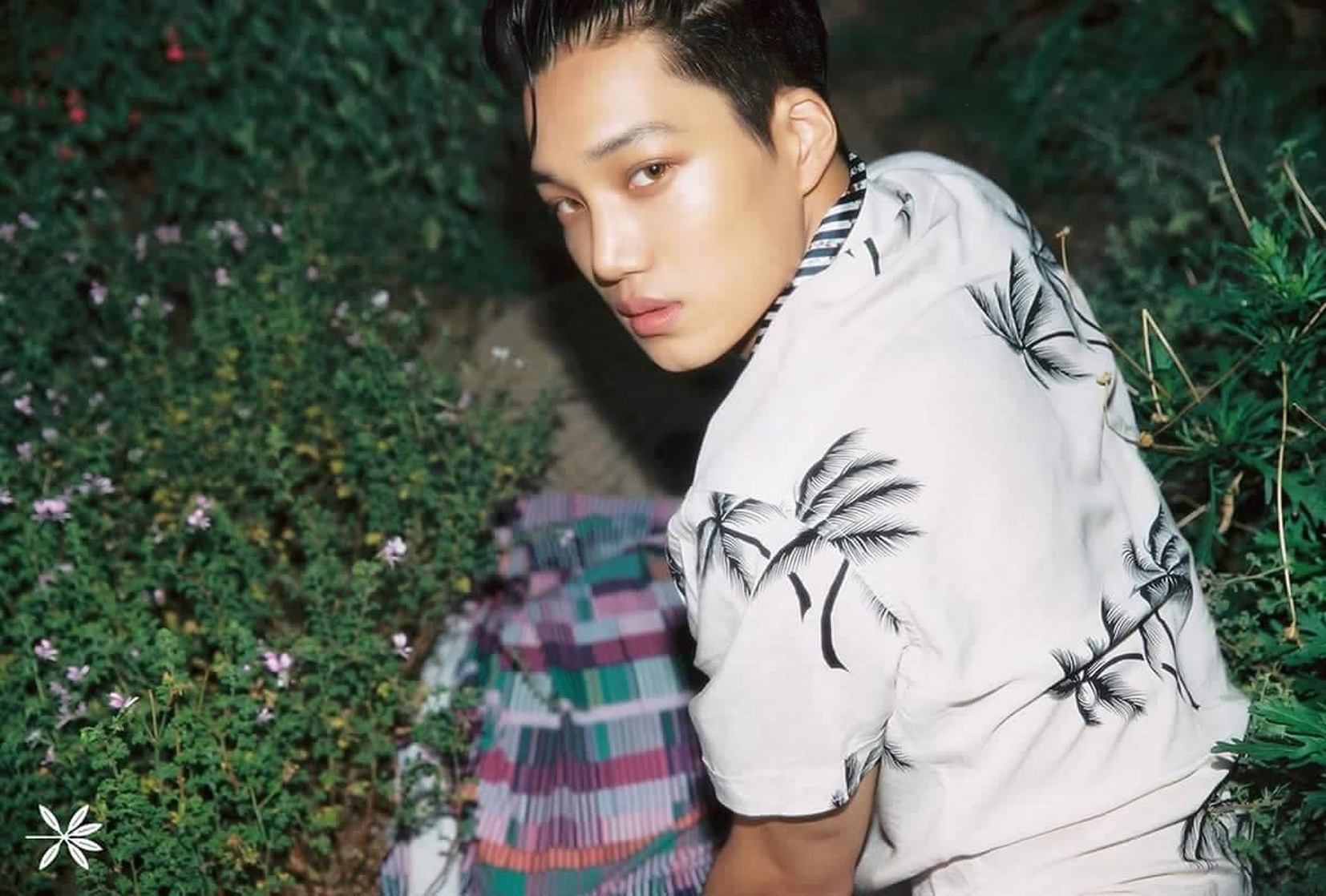 Kai image