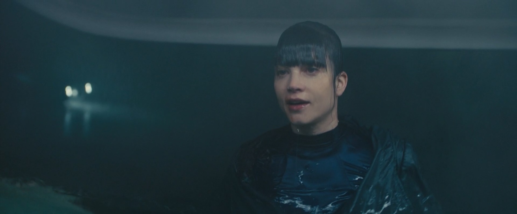 Blade Runner 2049 image