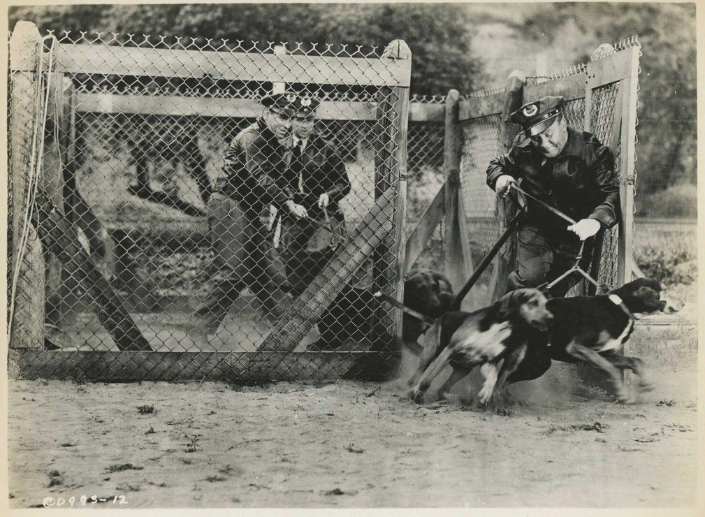 Picture of Chain Gang