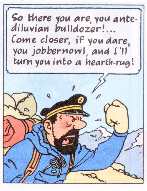 Picture of Captain Haddock