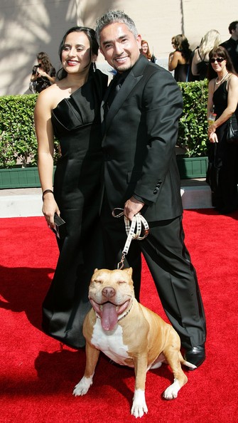 Picture of Cesar Millan
