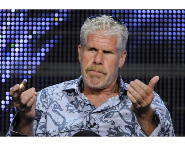 Picture of Ron Perlman