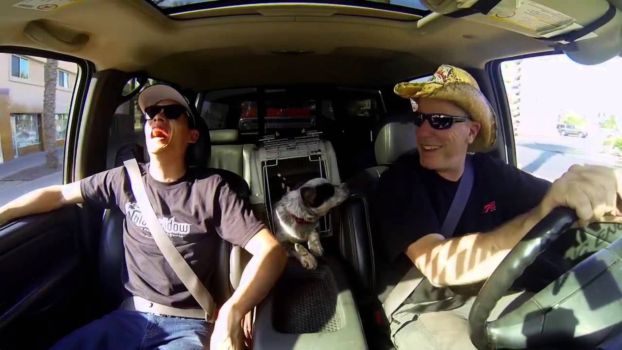 AZN, Farmtruck