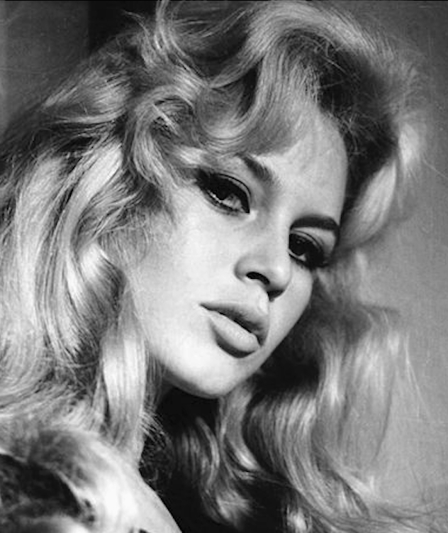 Picture of Brigitte Bardot