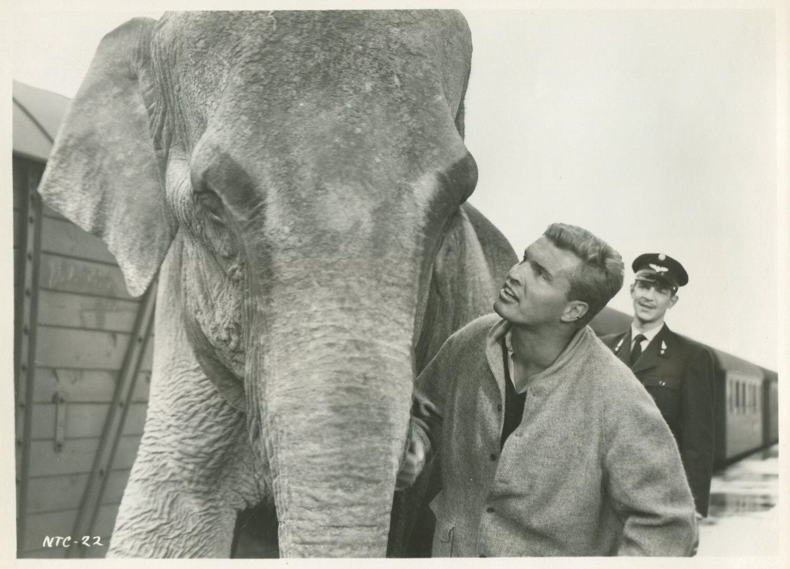 Picture of Helmut Schmid