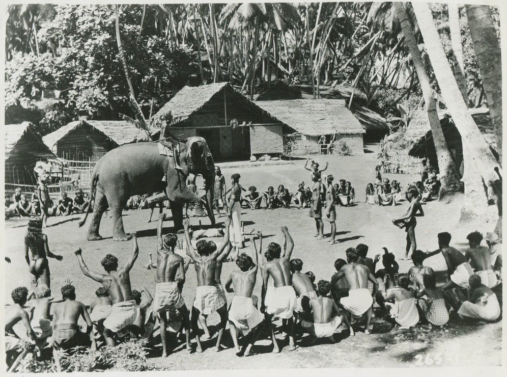 The Beachcomber picture