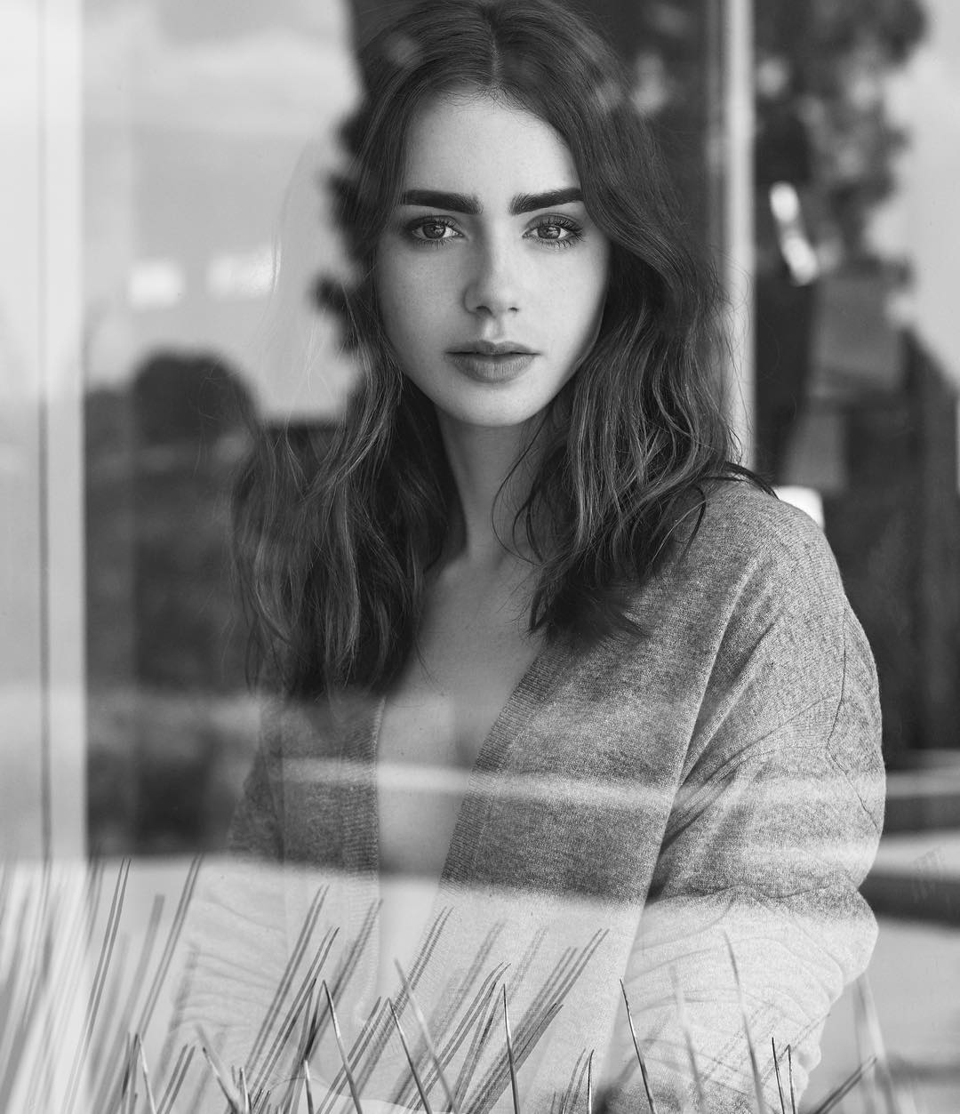 Picture of Lily Collins