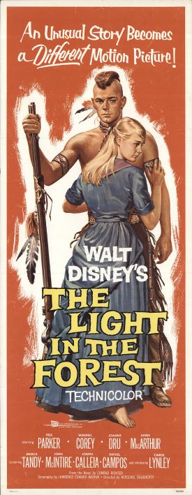 Image of The Light in the Forest