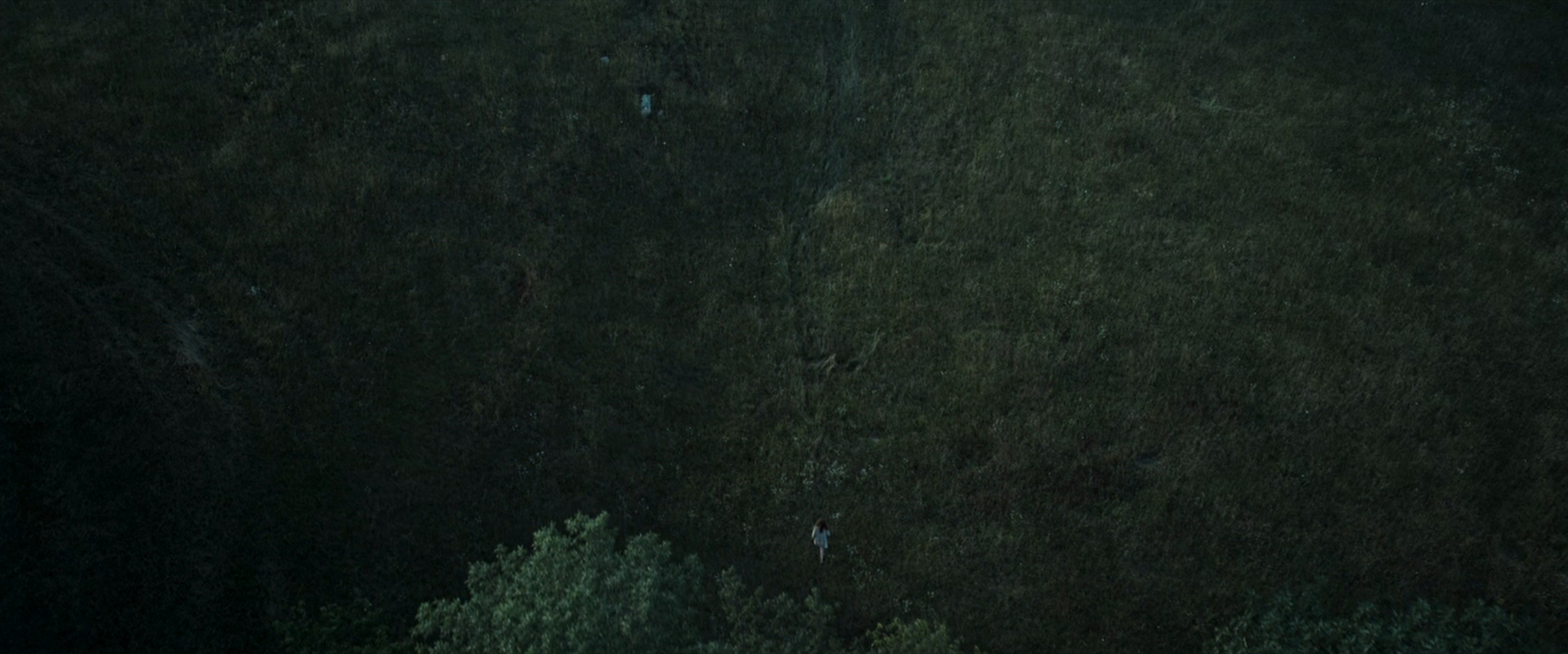 Picture of Slender Man