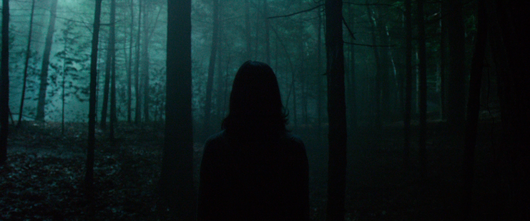 Picture of Slender Man