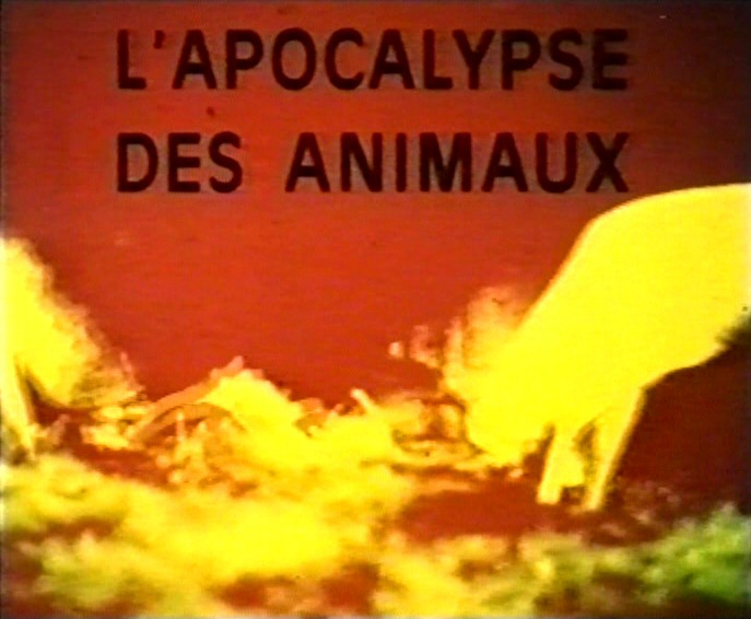 Image of L'apocalypse des animaux