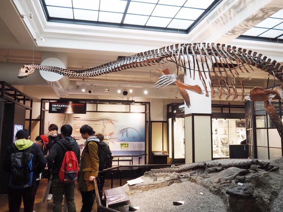 Picture of National Museum of Nature and Science