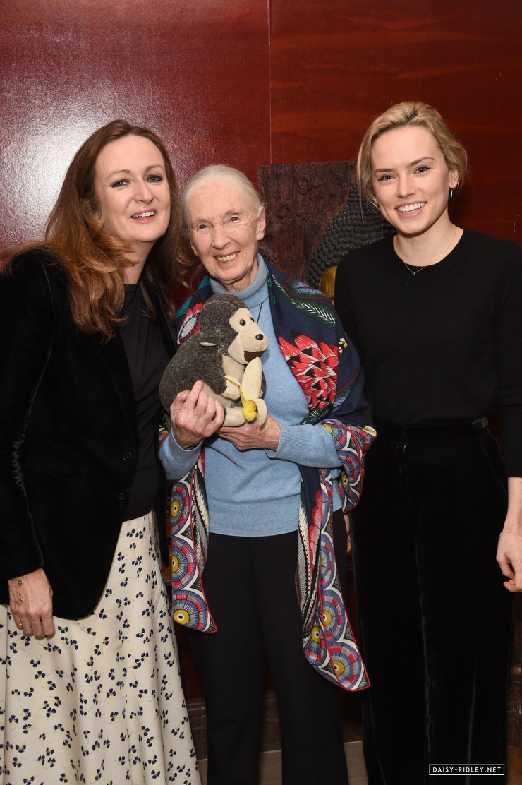 Picture of Daisy Ridley