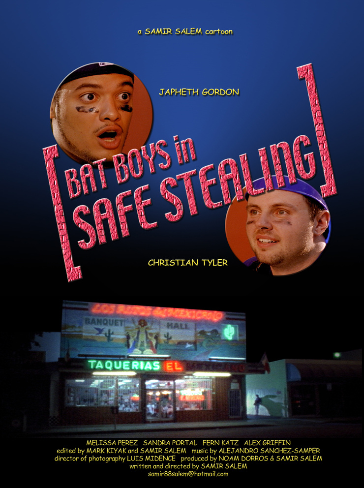 Picture of Safe Stealing