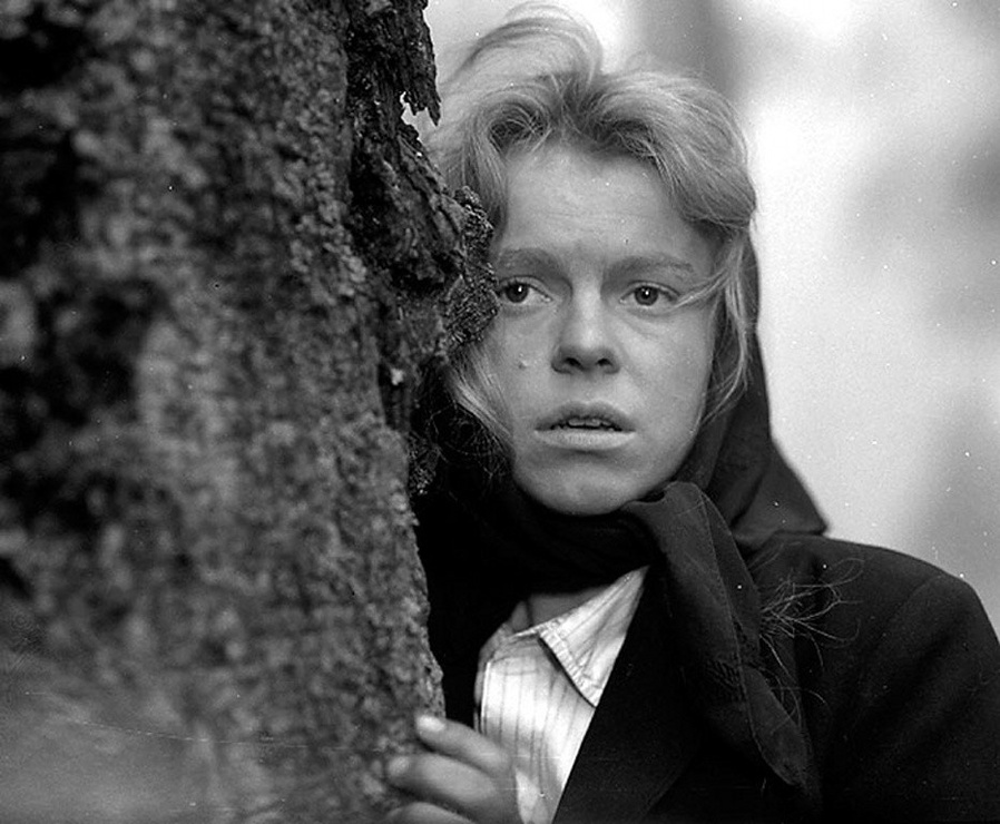 Picture of Kocár do Vídne