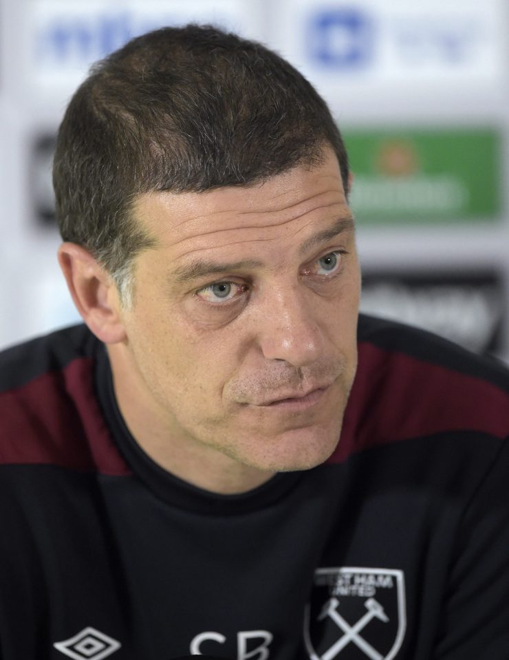 Picture of Slaven Bilic