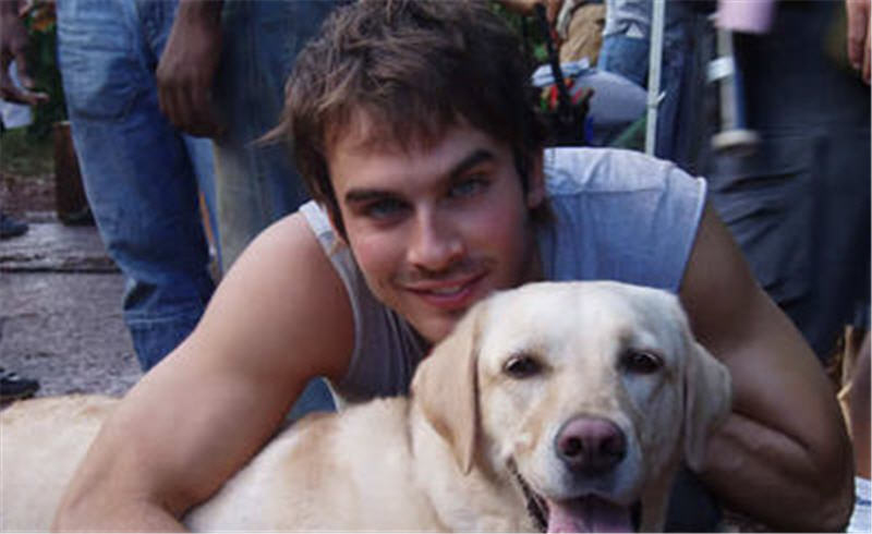 Boone and Vincent in LOST