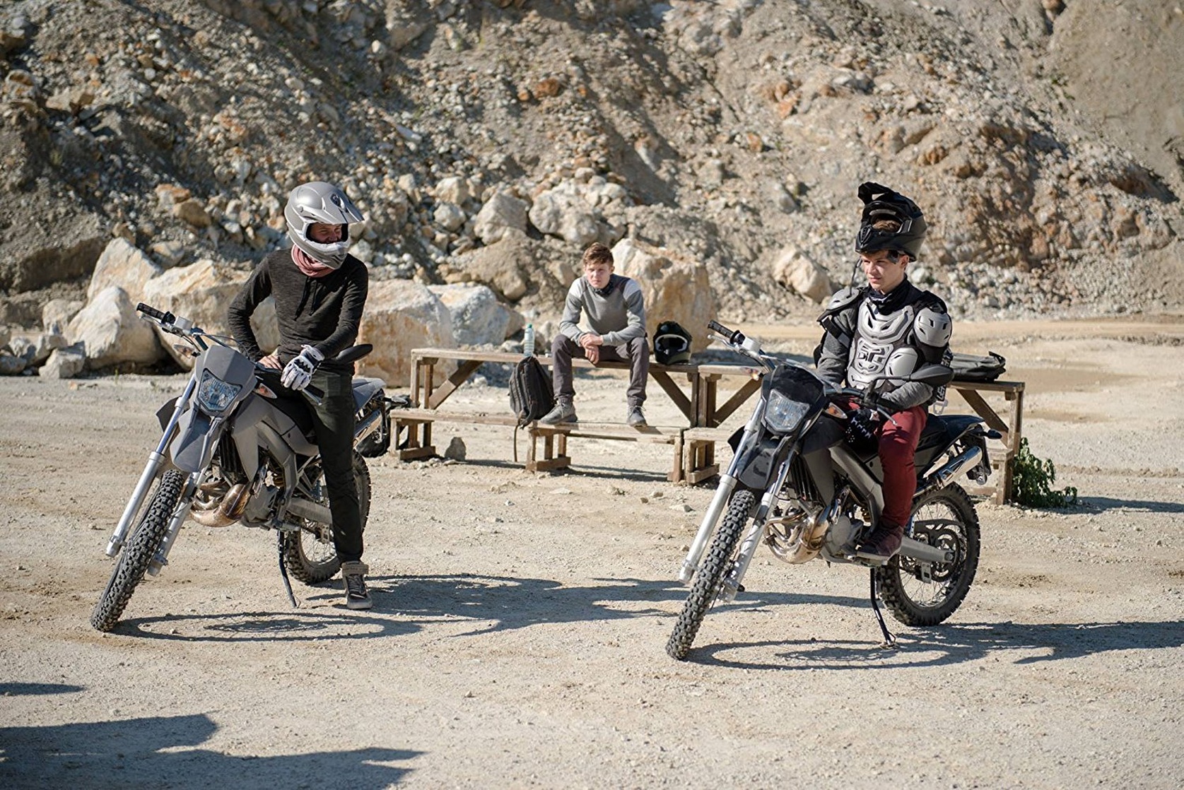 Picture of L'animale