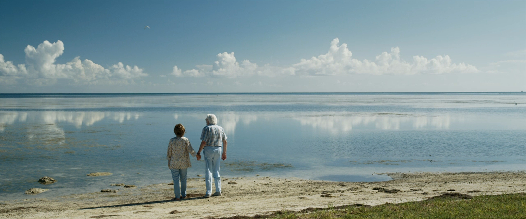 Image of The Leisure Seeker