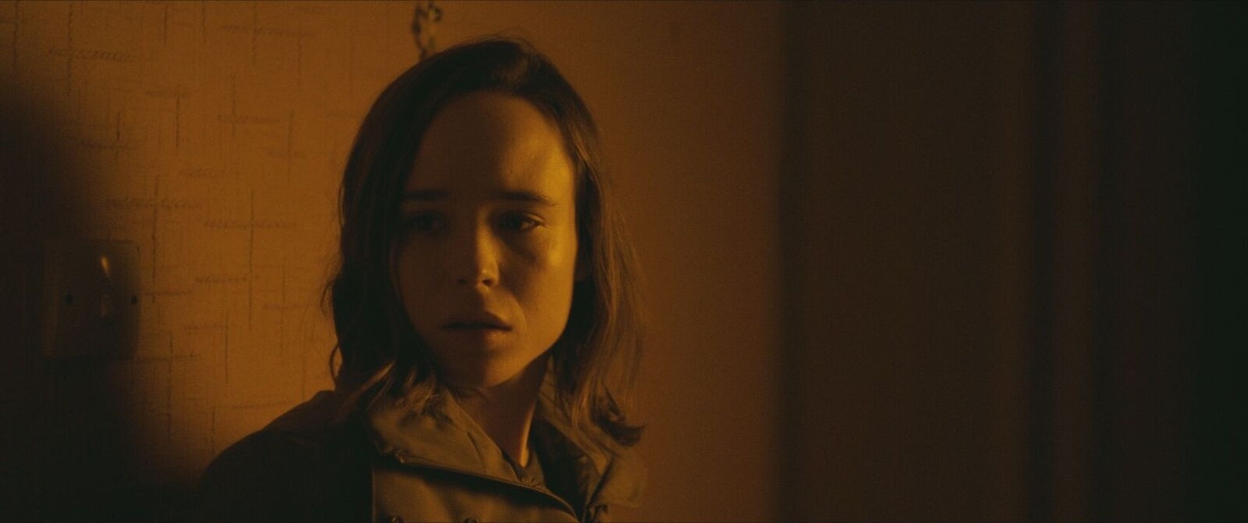 Image of The Cured (2017)