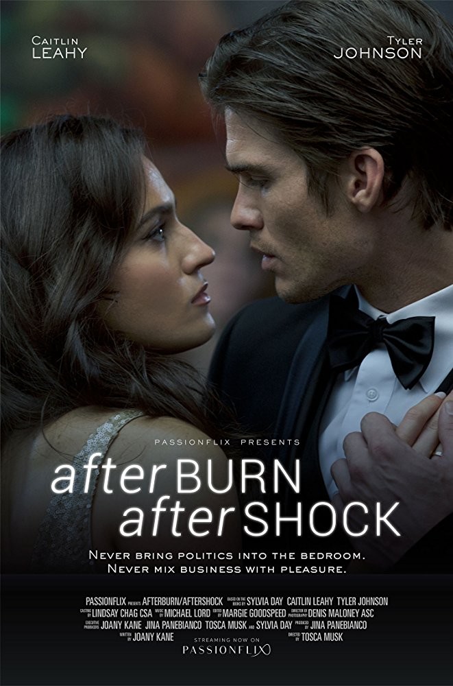 Afterburn/Aftershock (2017) image
