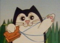 Picture of James the Cat