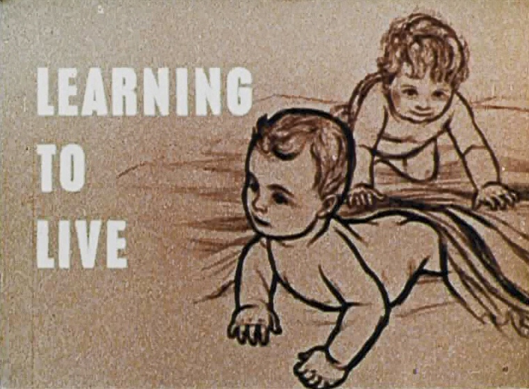 Image of Learning to Live
