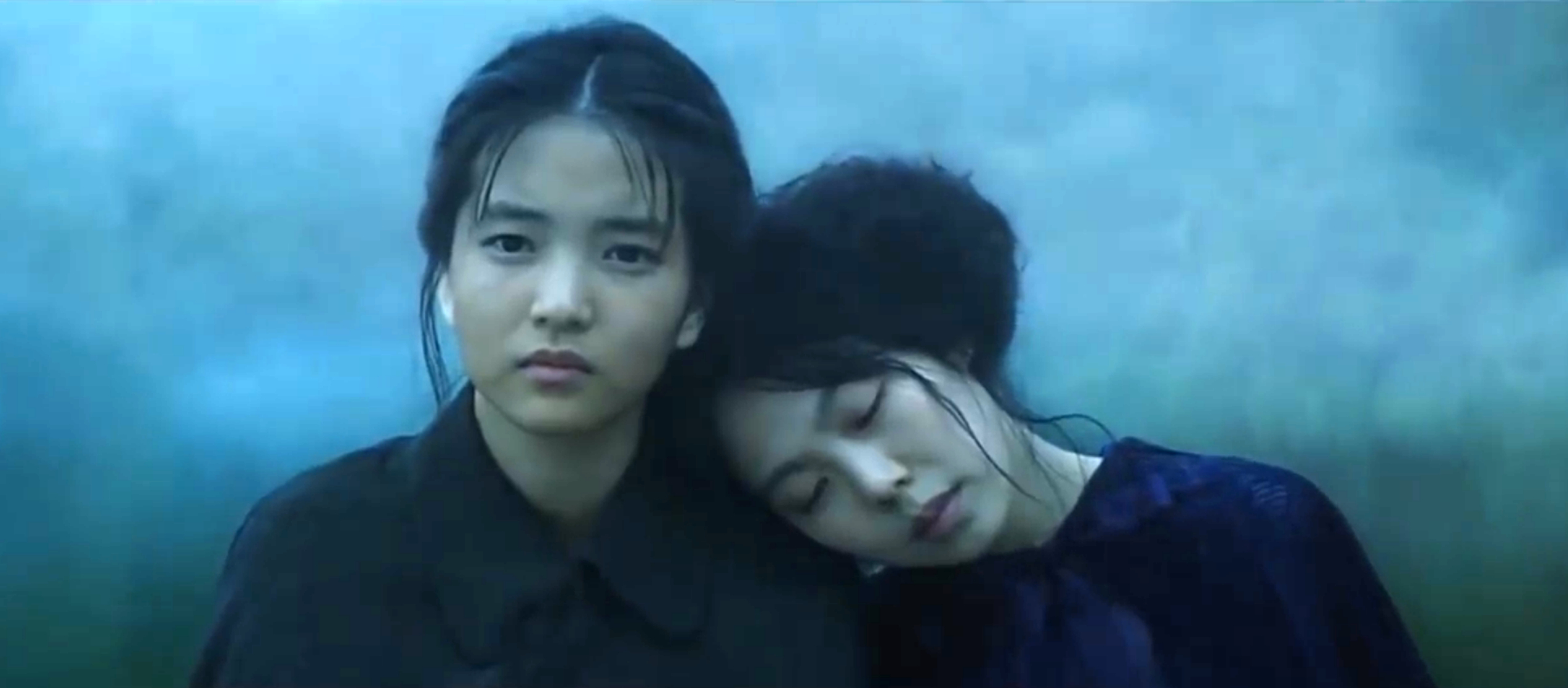 Picture of The Handmaiden