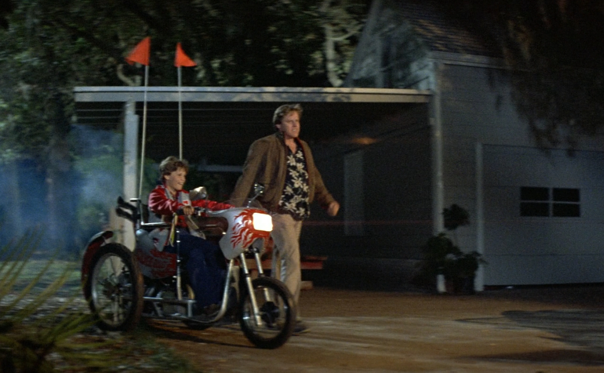 Picture of Silver Bullet